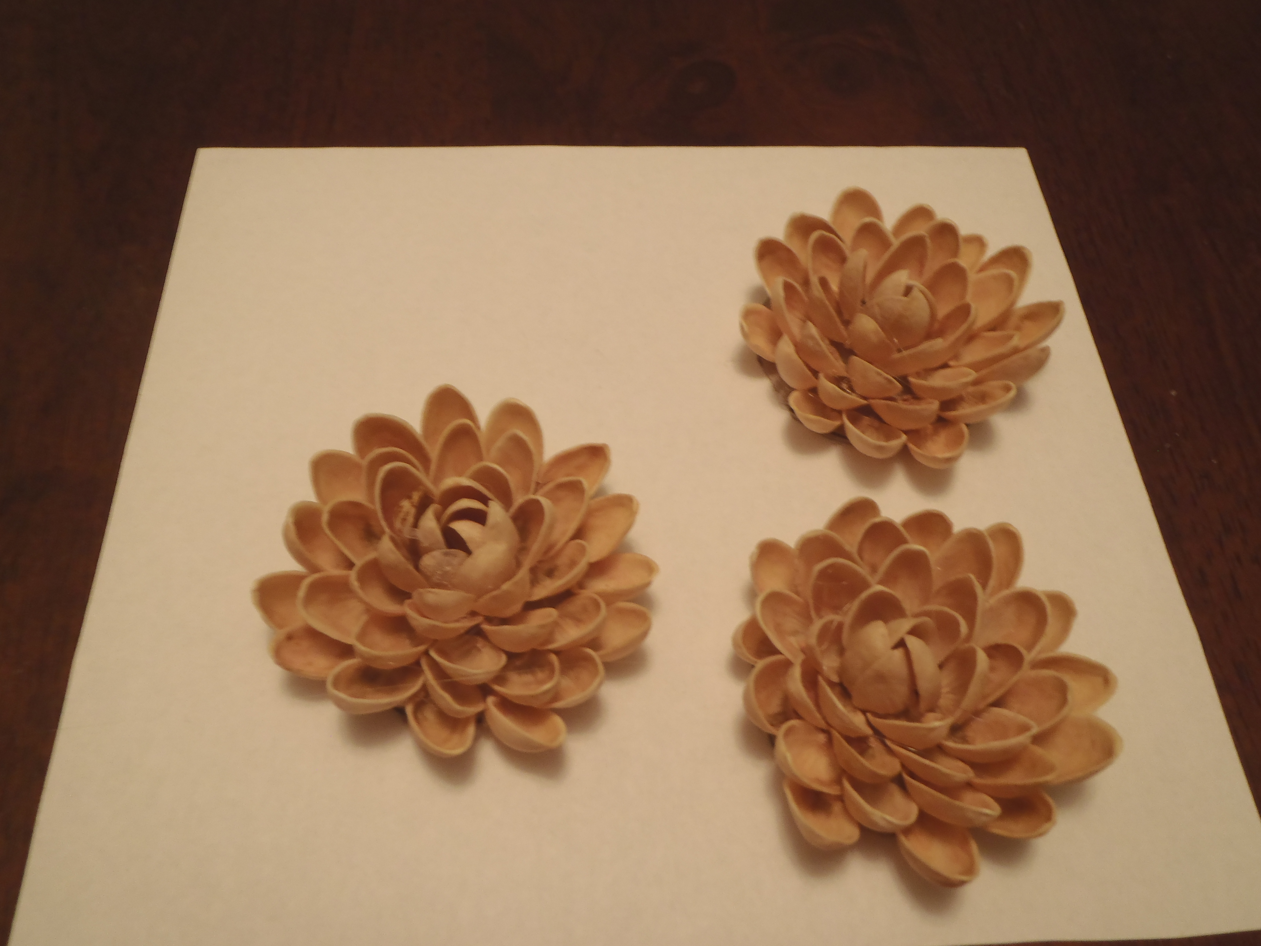 Pistachio Flower Craft